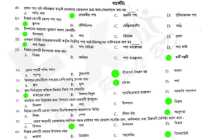 DU C Unit Question Bank