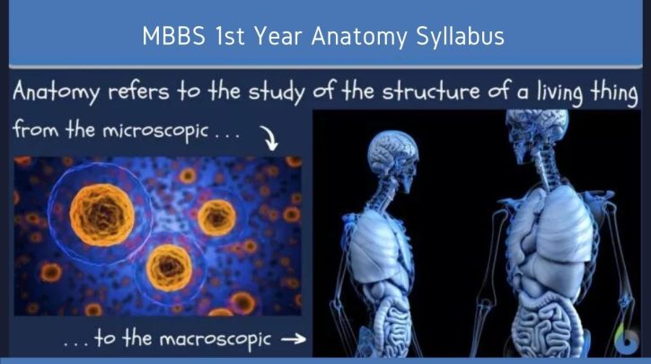 MBBS 1st Year Anatomy Syllabus For 2021 22 Session MBBS 1st Year Anatomy Syllabus For 2021 22 Session